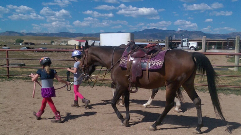 Integrating Animals: How Animals Contribute to Holistic Health ...